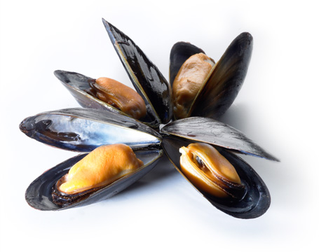 Products | Aquaculture Association of Nova Scotia