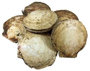 Products | Aquaculture Association of Nova Scotia