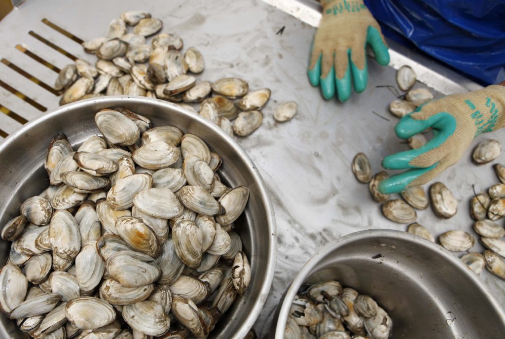 Shellfish Productivity Training (Sydney, NS) | Aquaculture Association ...