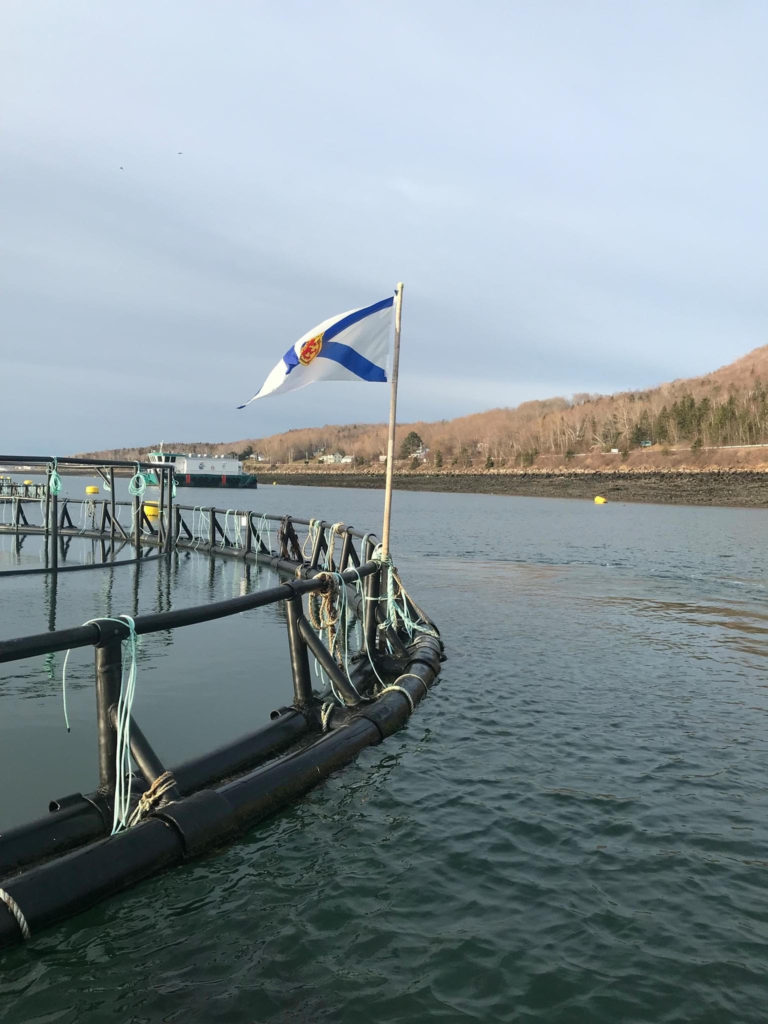 Nova Scotia marine fish farming is among the most environmentally ...