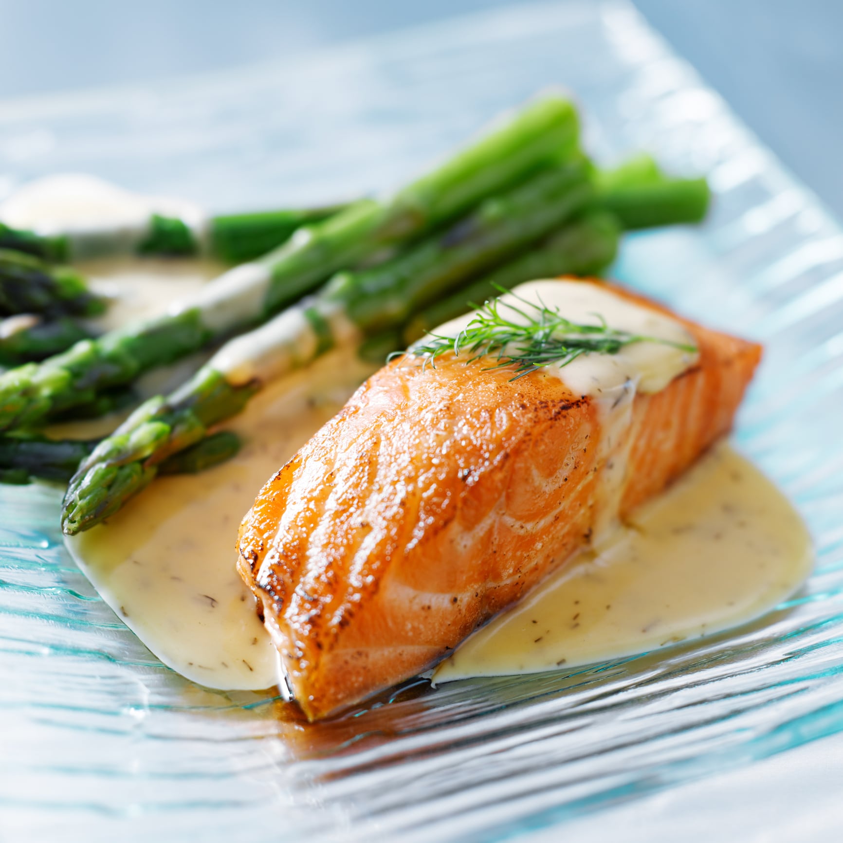 SALMON GLAMIS | Aquaculture Association of Nova Scotia